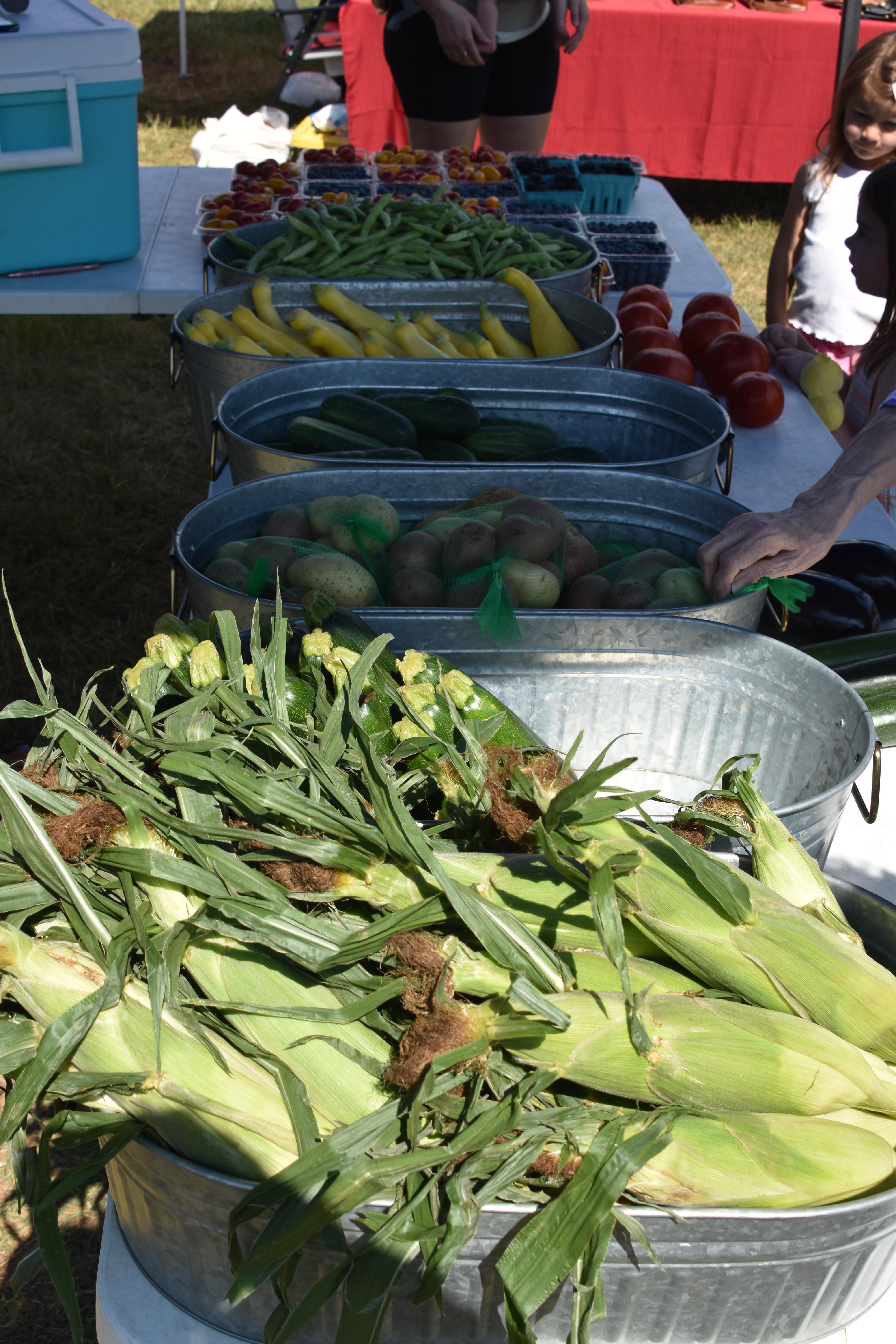 Farmer's Market Fun! | Morganton, NC